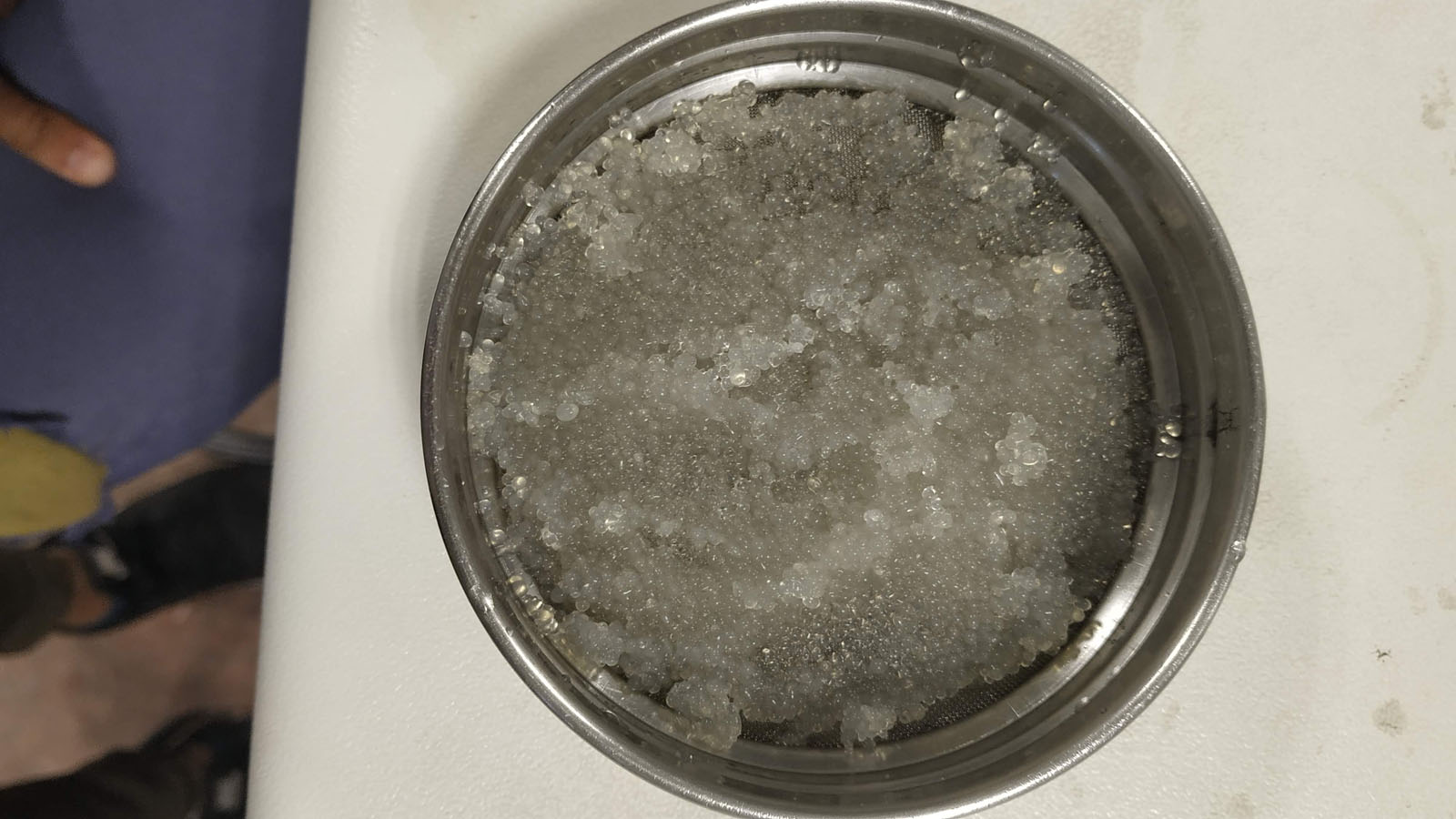 - iDescubre La segunda vida de la merluza