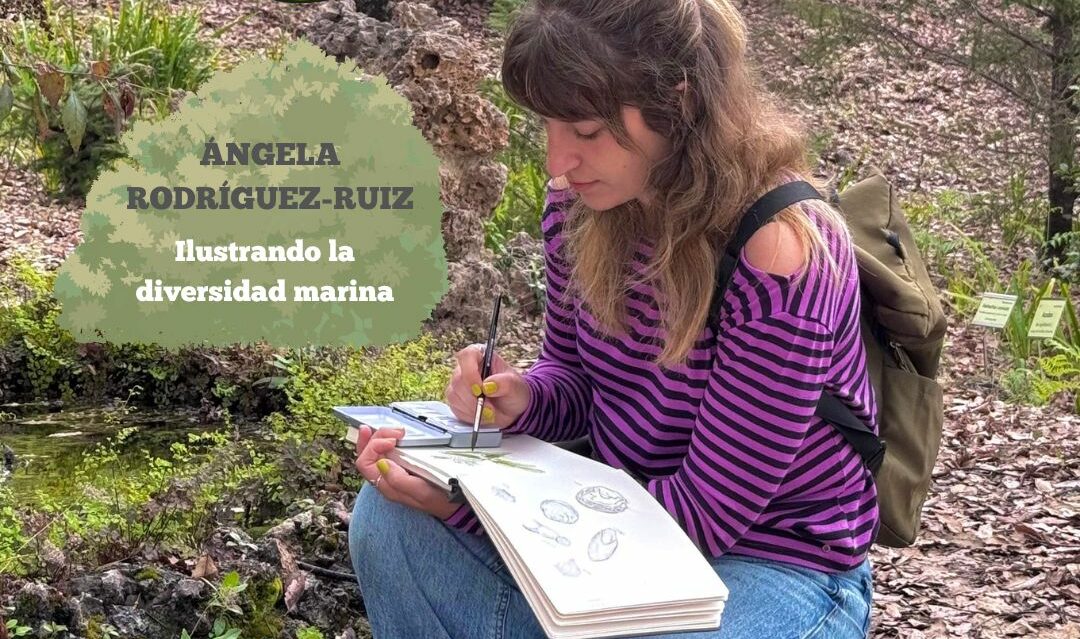 Ilustrando la diversidad marina - iDescubre