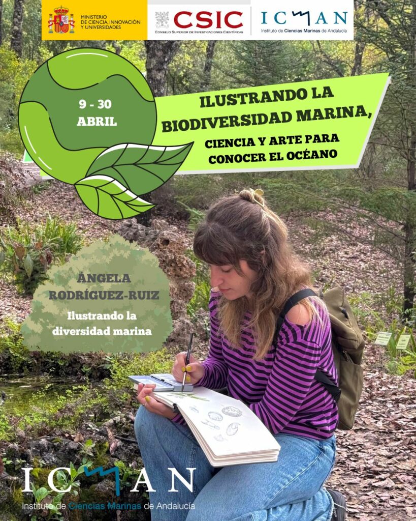 Ilustrando la diversidad marina - iDescubre